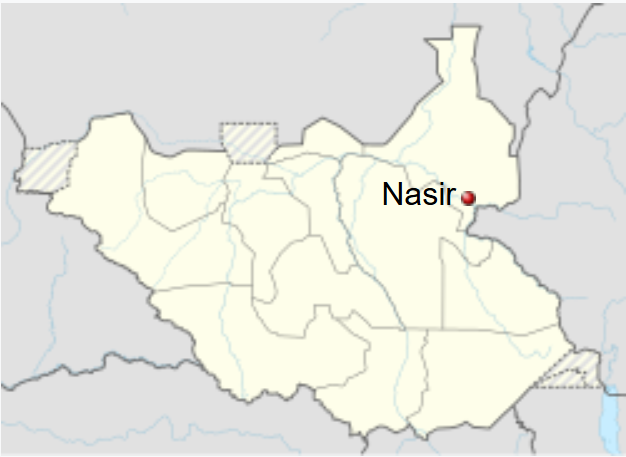 Renewed Intense Fighting in Nasir Town Results in Mass Displacement of ...